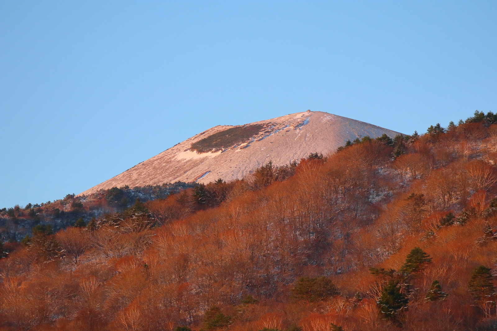 朝の吾妻小富士: 花が咲く風景の写真と、オマケJCW